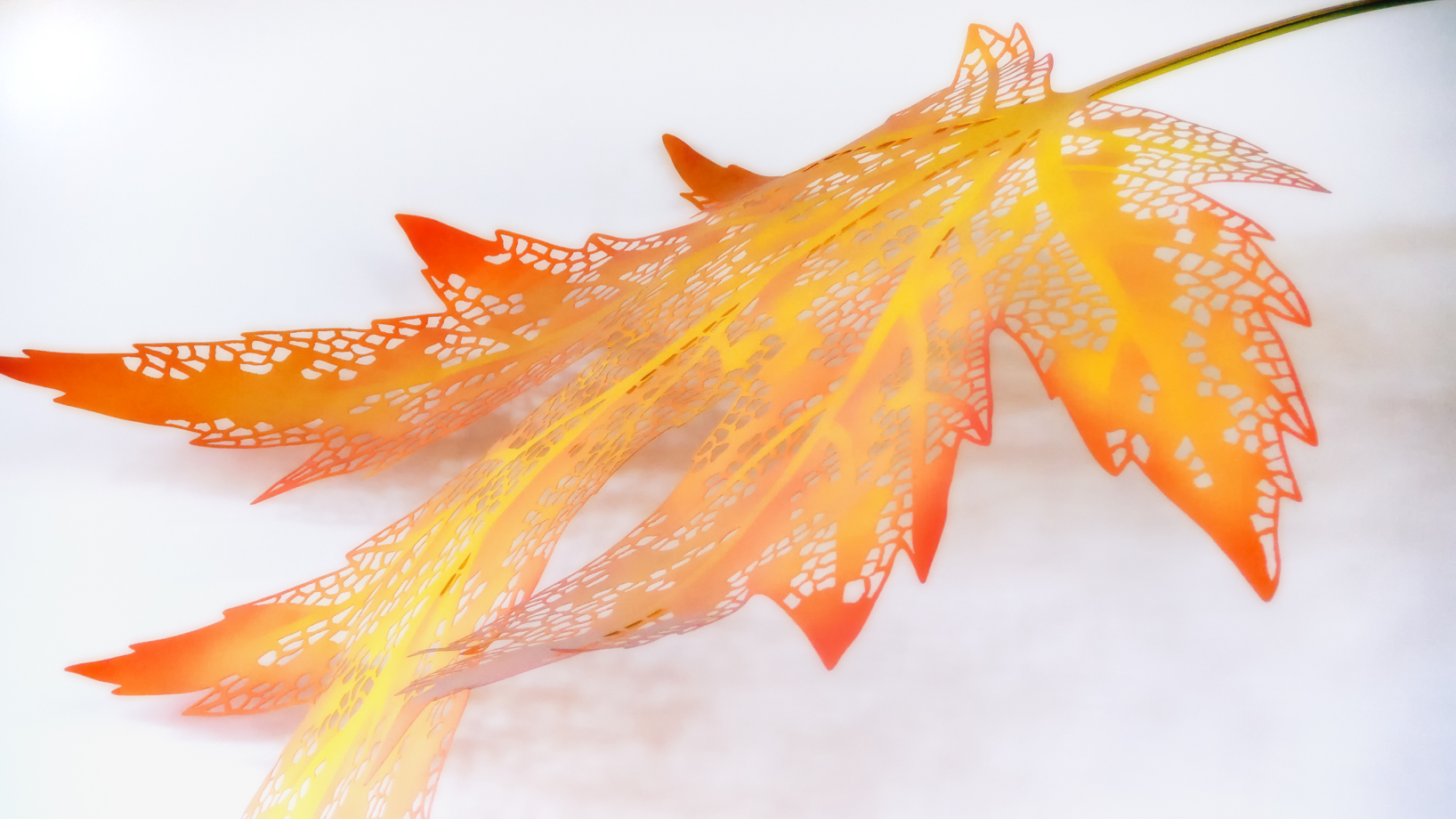 Before and After: Soft Steel – DaleDucatte.com