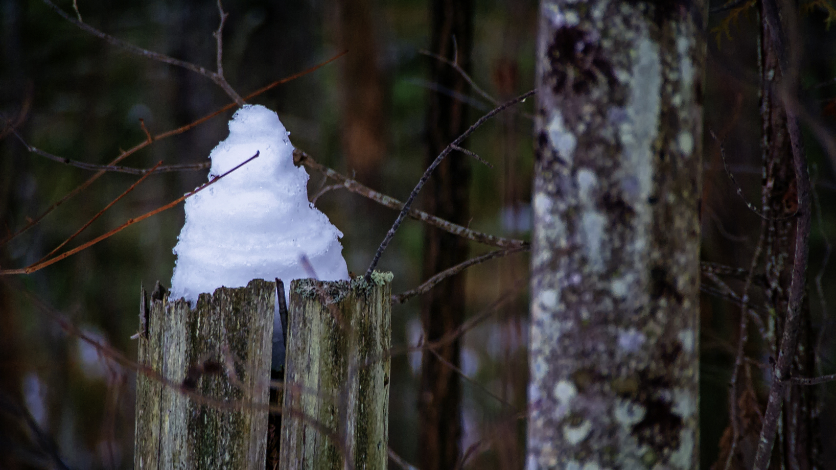 Wordless Wednesday: Snow Puffs??? – DaleDucatte.com